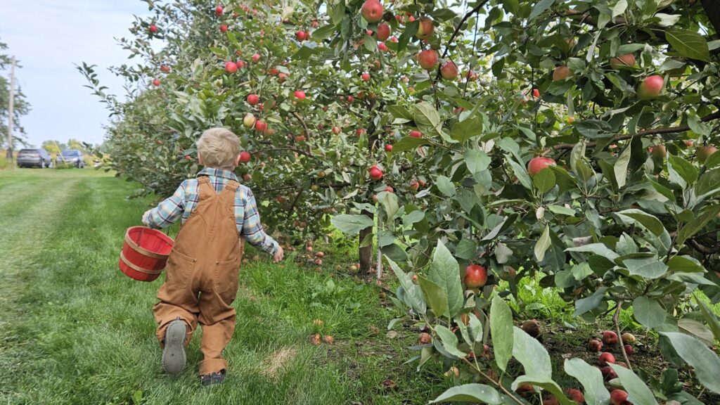 Moulton's Orchard – Late August through Late October Orchard with13 ...